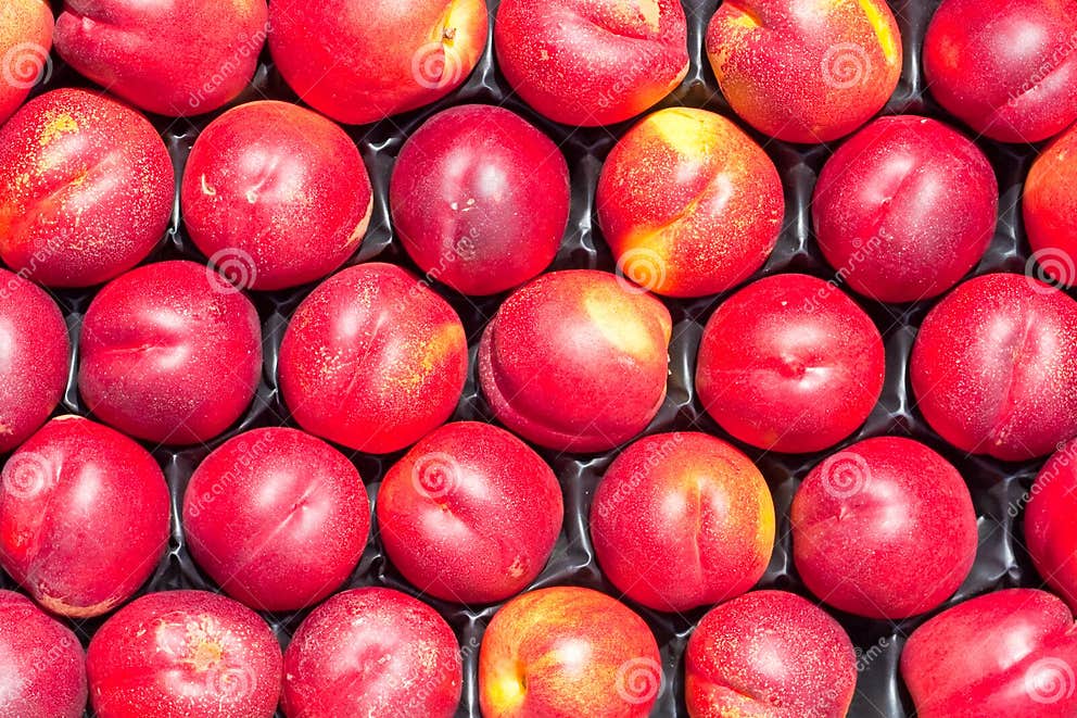 Nectarines stock photo. Image of health, sweet, peel - 21239526