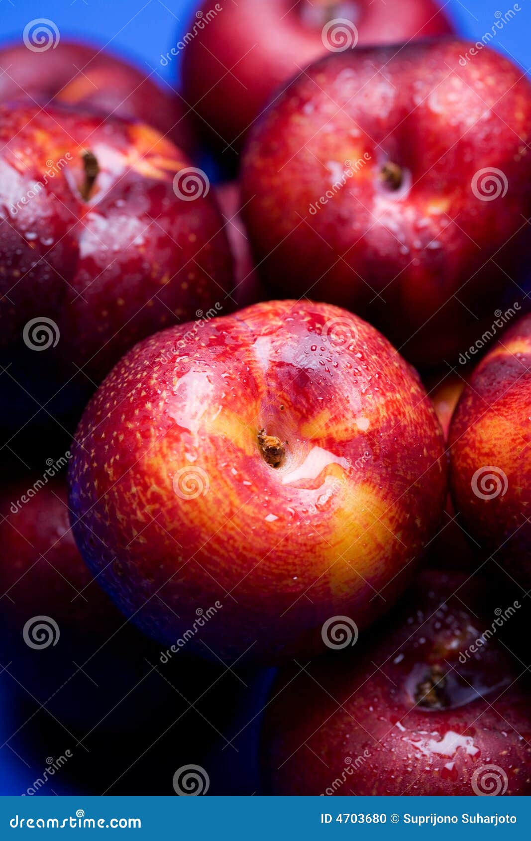 Nectarines stock photo. Image of fruit, agriculture, produce - 4703680