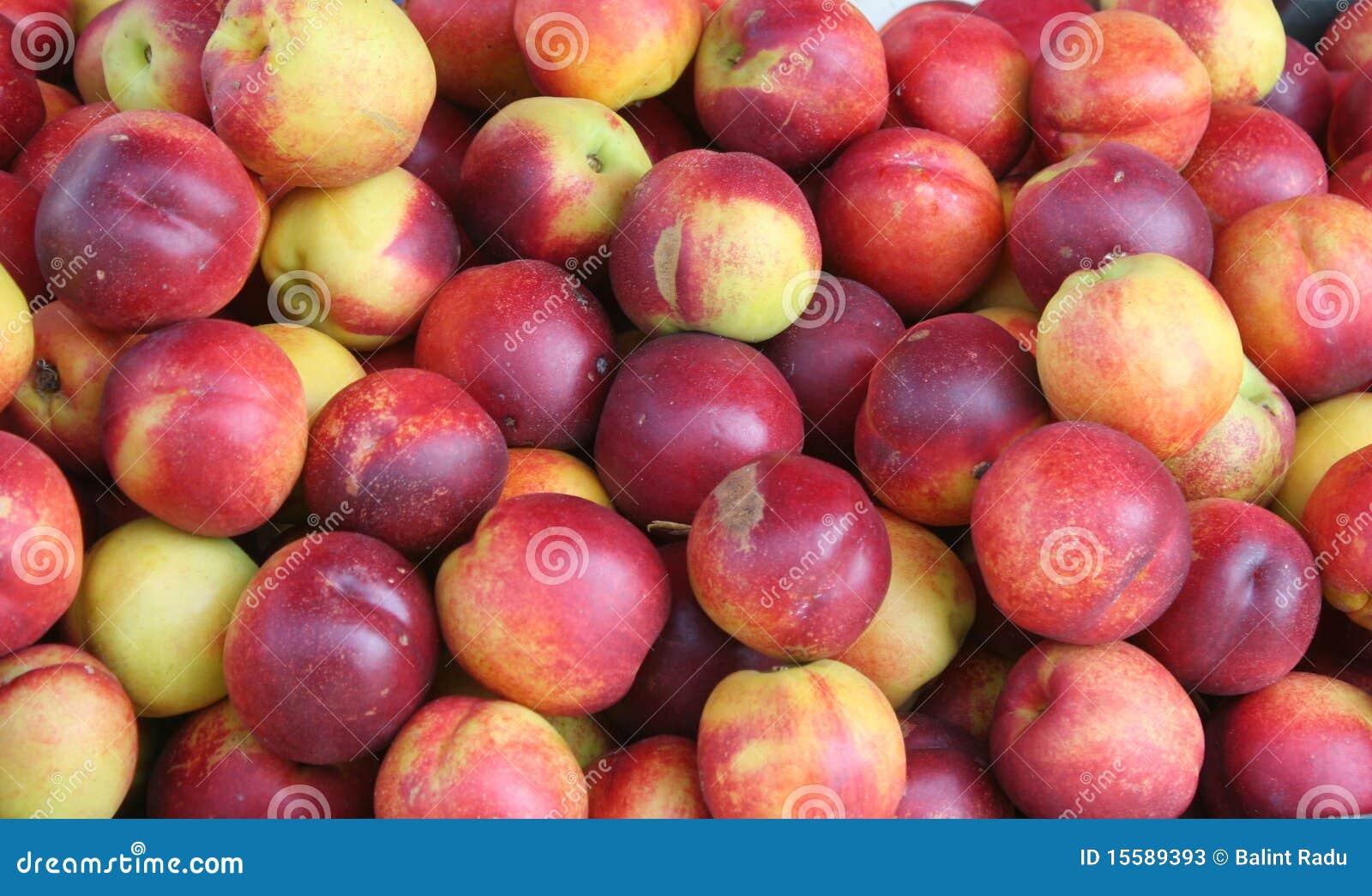 Nectarines background stock image. Image of ingredient - 15589393