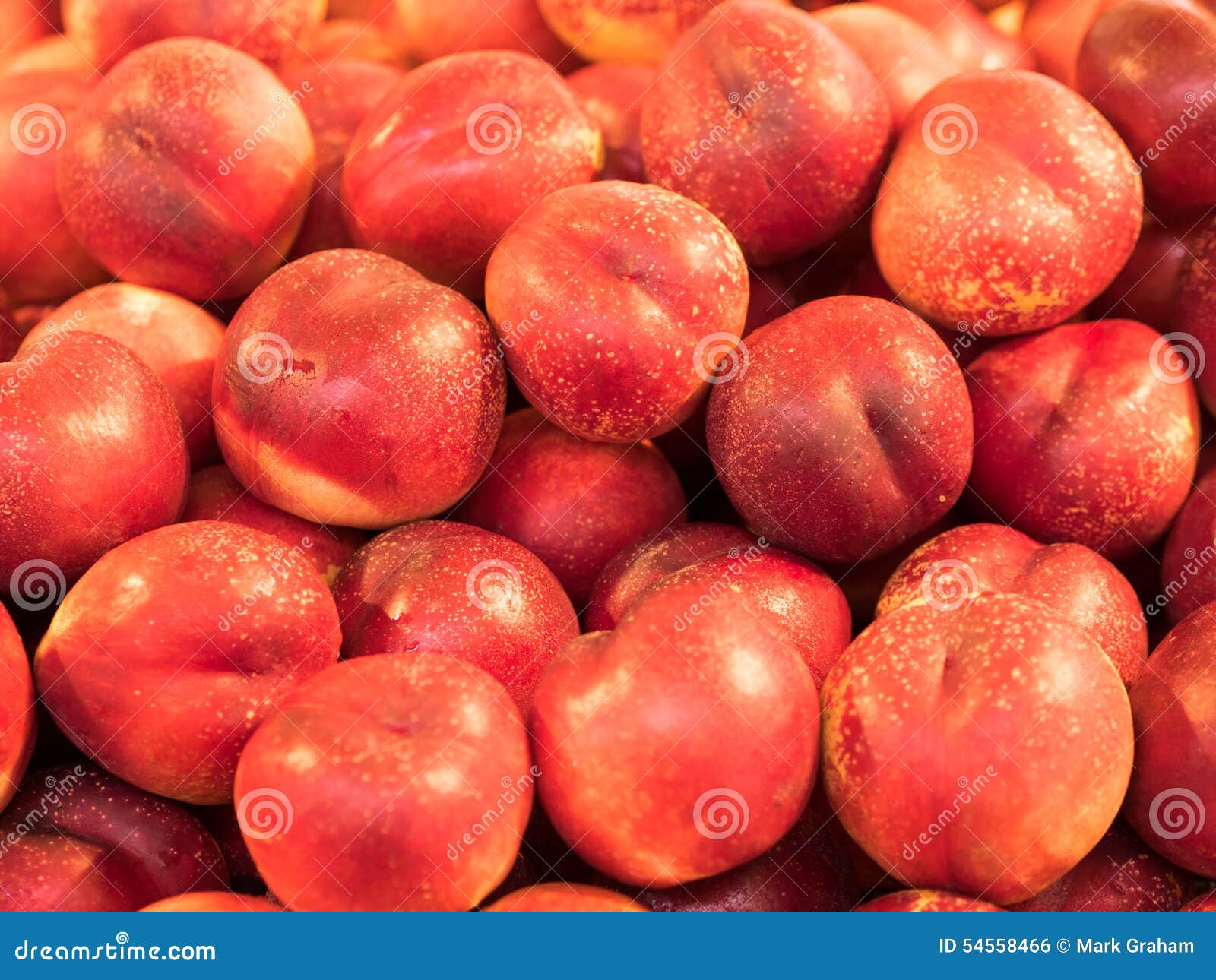 Nectarines stock photo. Image of nature, white, sweet - 54558466