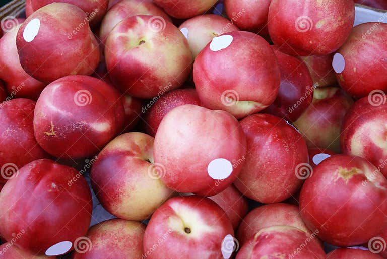 Nectarines stock photo. Image of healthy, market, food - 60686552