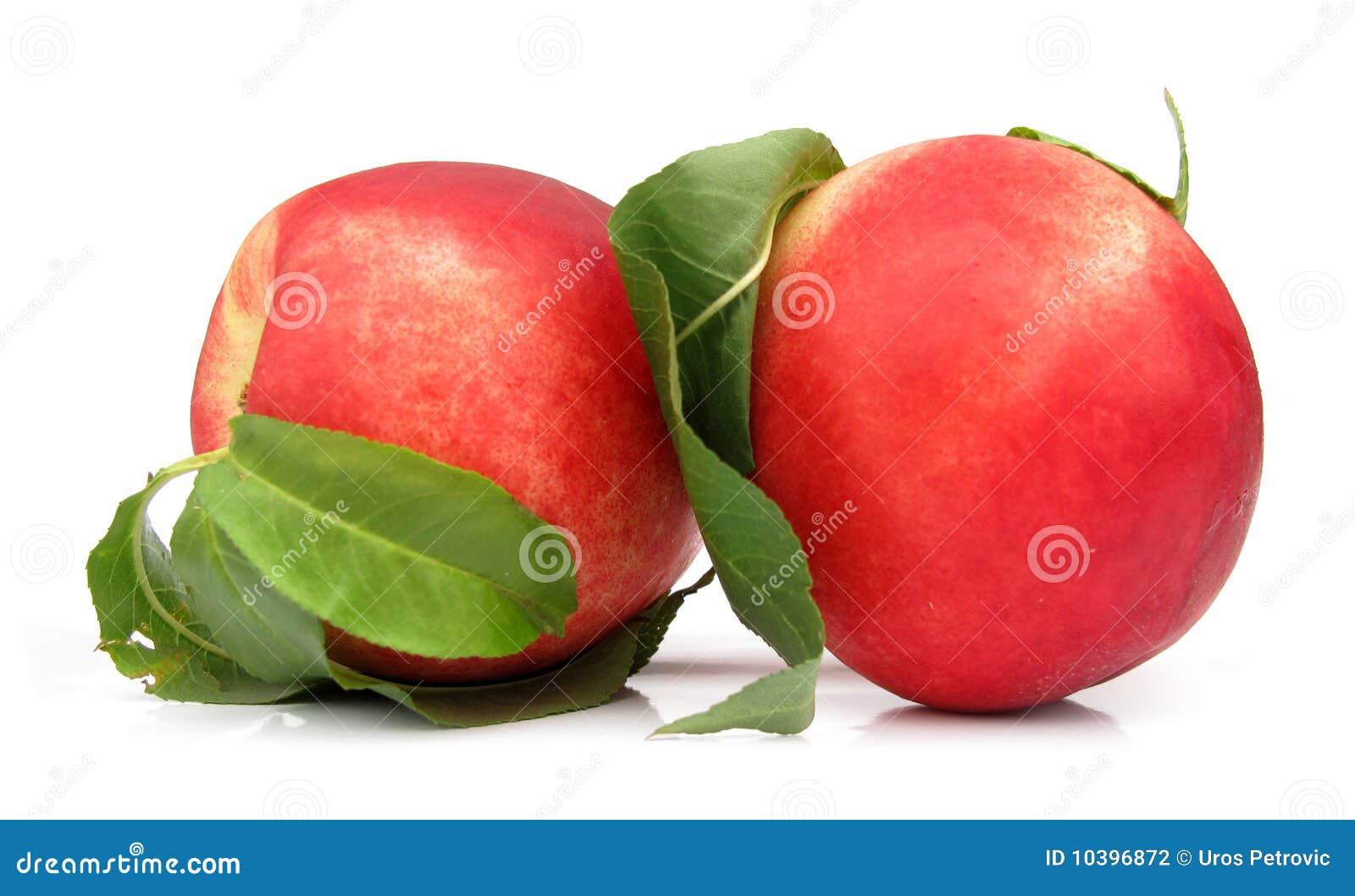 Nectarines Perfect with Leaves Stock Photo - Image of fresh, background ...