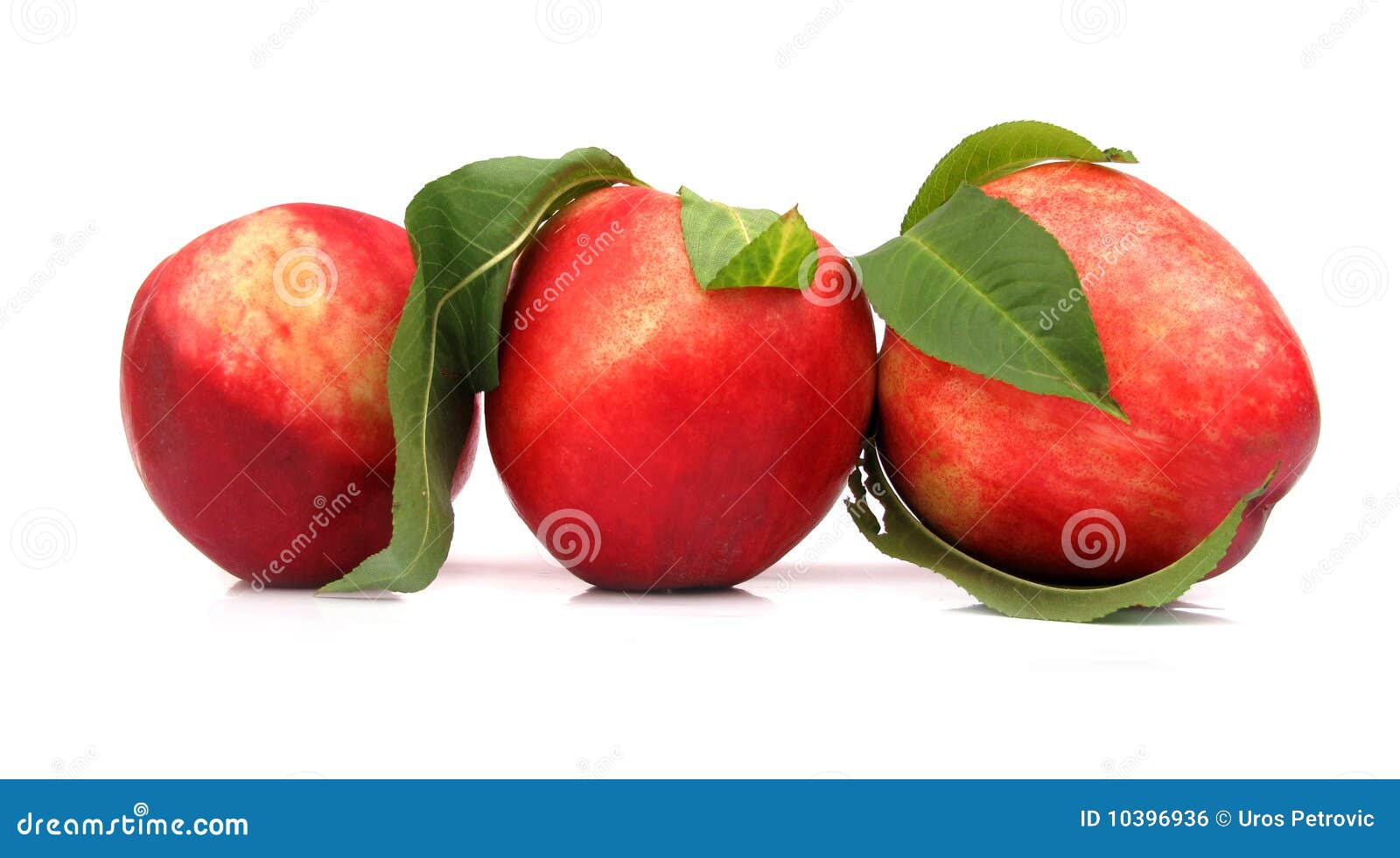 Nectarines Perfect with Leaves Stock Photo - Image of fuzzless ...