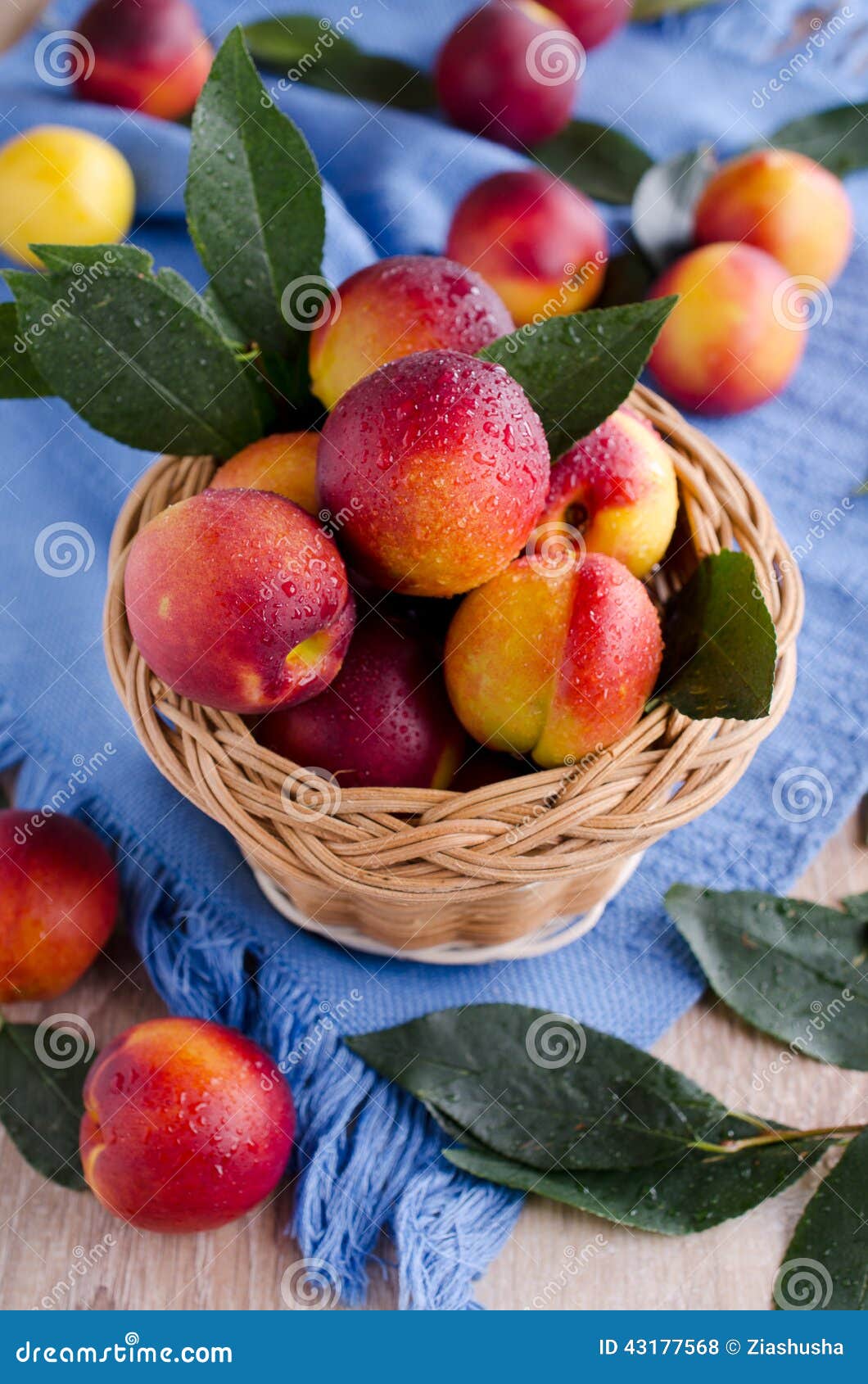 Nectarines stock photo. Image of eating, clean, food - 43177568