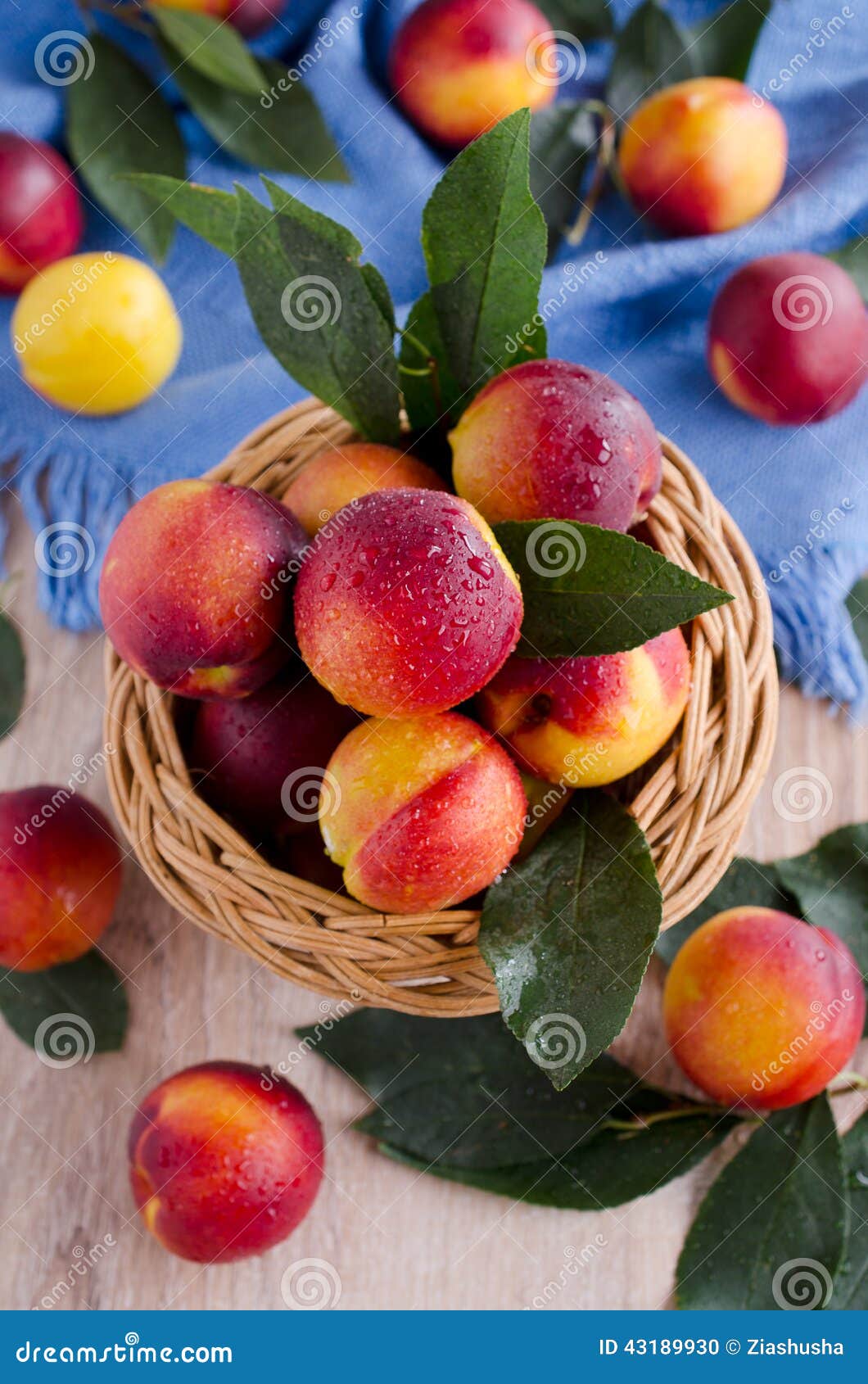 Nectarines stock photo. Image of organic, refreshment - 43189930