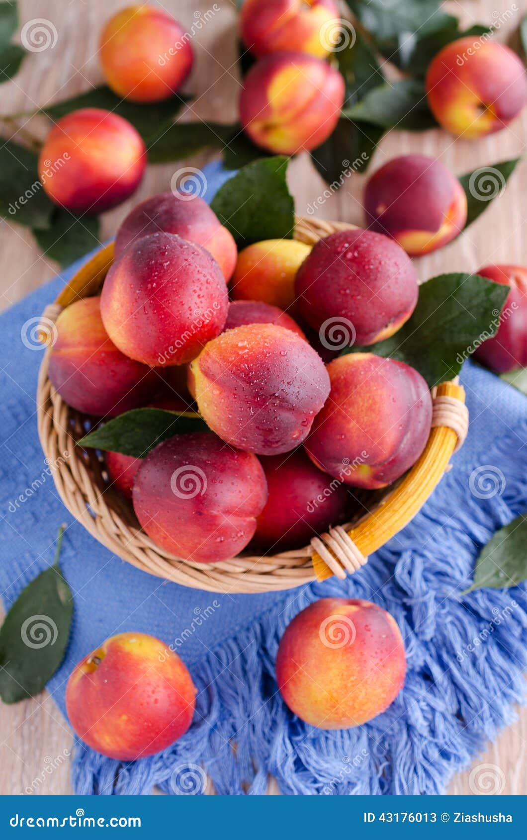 Nectarines stock image. Image of seasonal, food, clean - 43176013