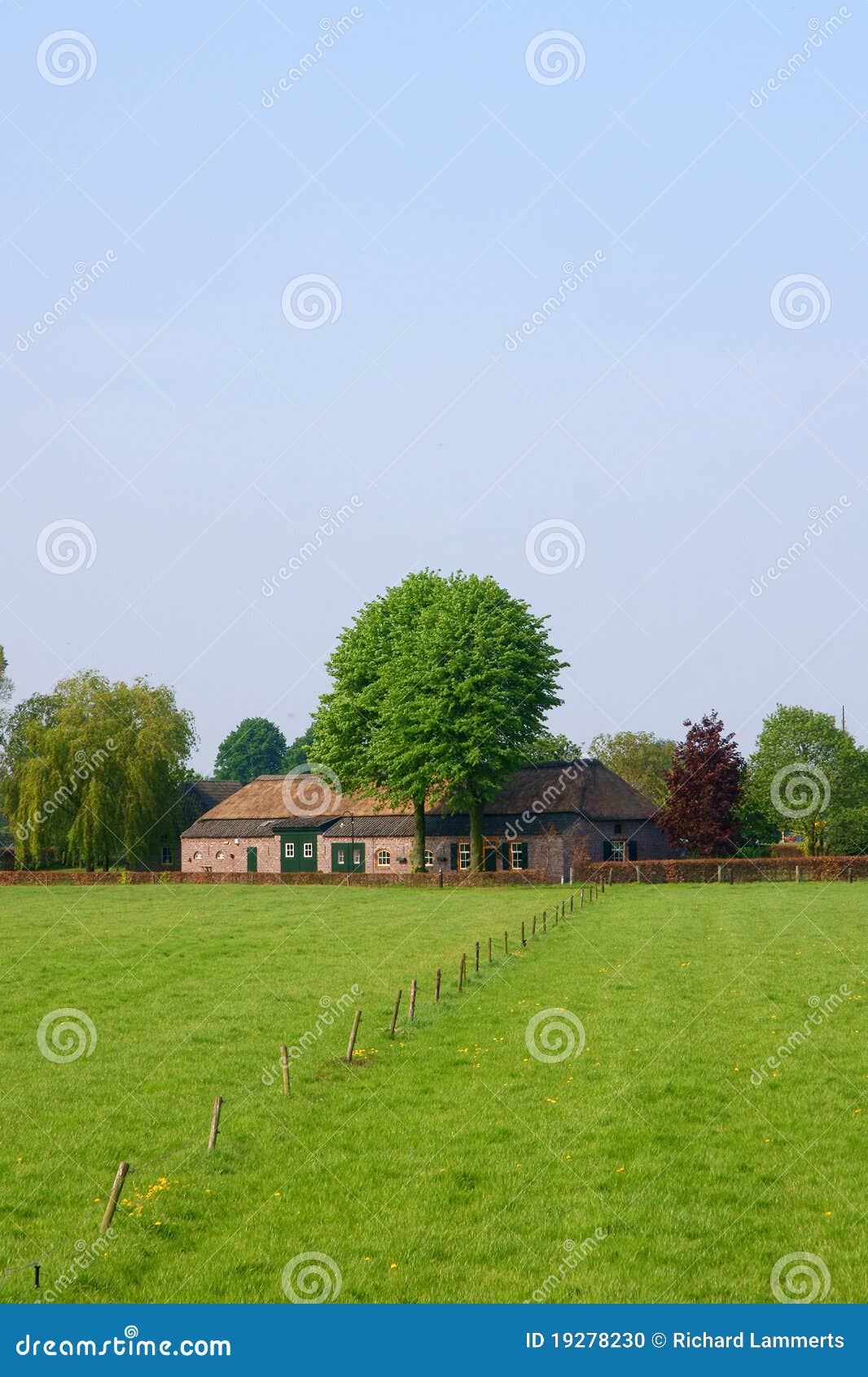 Nederlandse boerderij stock foto. Image of landschap - 19278230