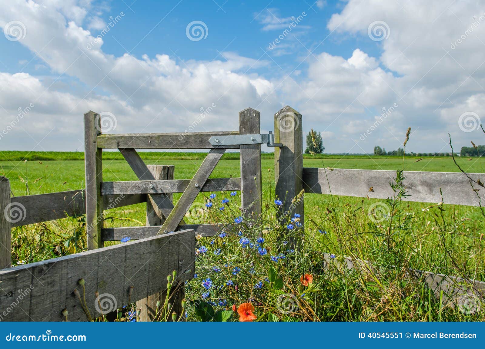 Nederlandse Landschappen - Baarn - Utrecht Stock Afbeelding - Image of ...