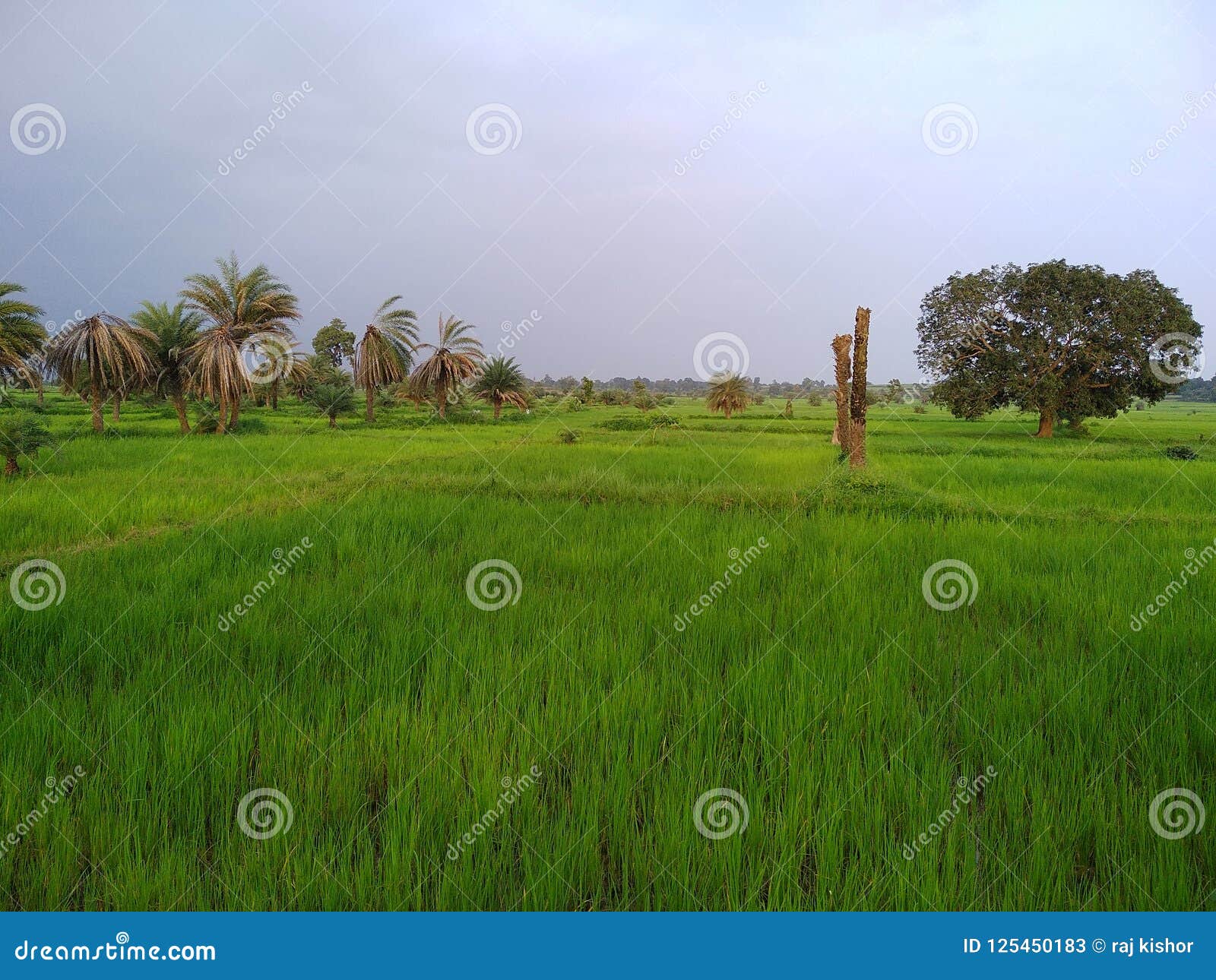 Fresh climate stock image. Image of fresh, climate, views - 125450183