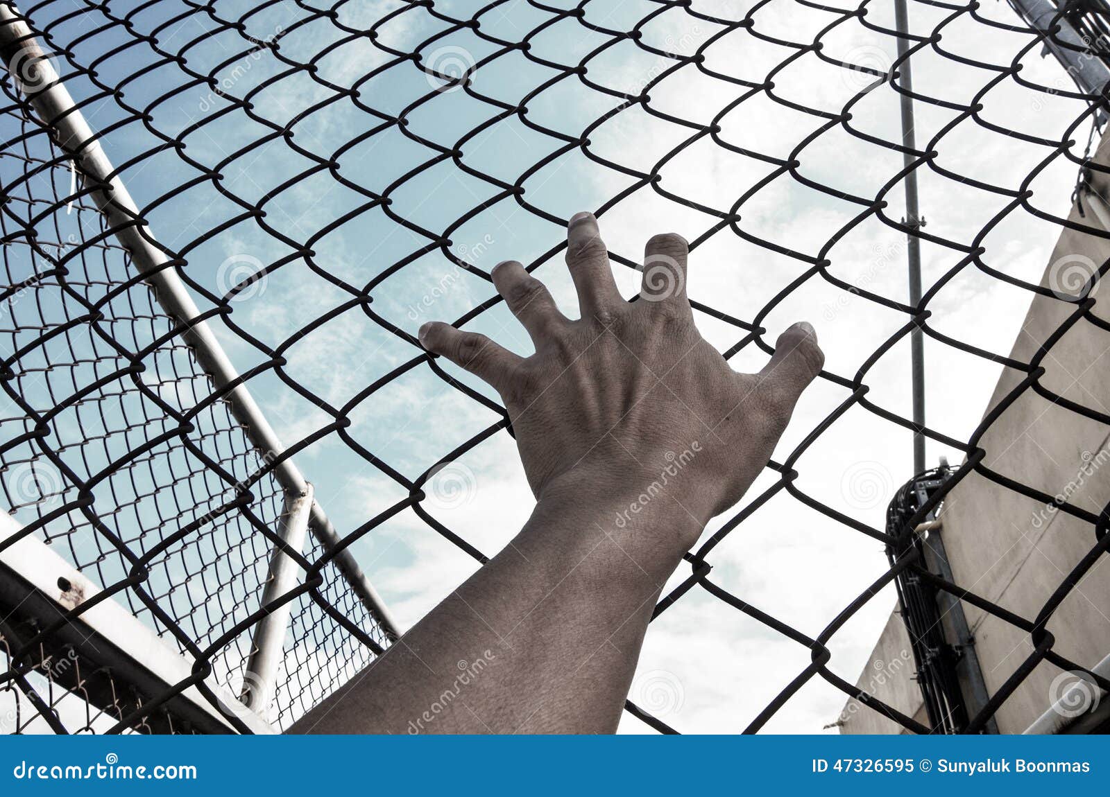 Need Freedom with Hand in Jail Stock Image - Image of iron, captive ...