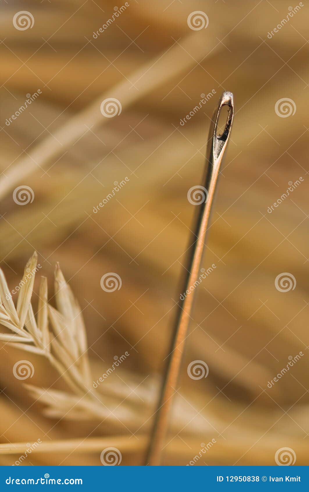 Needle stock photo. Image of discovery, steel, finding - 12950838