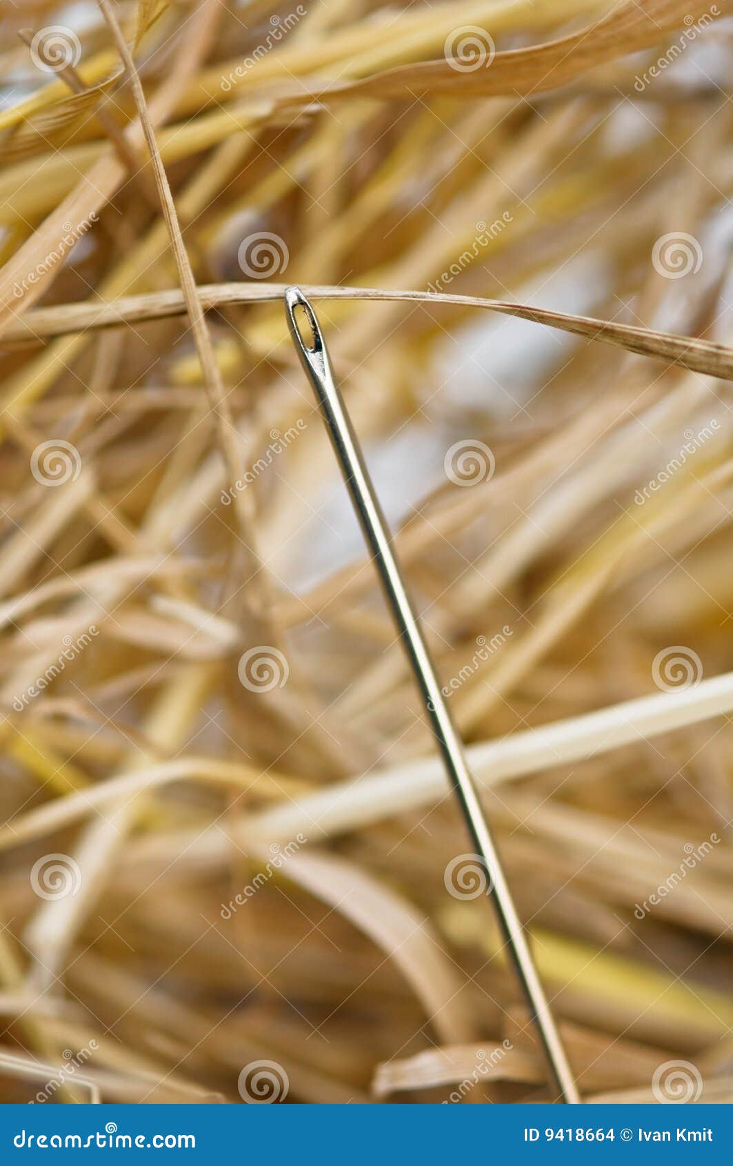 Needle stock photo. Image of needle, searching, single - 9418664