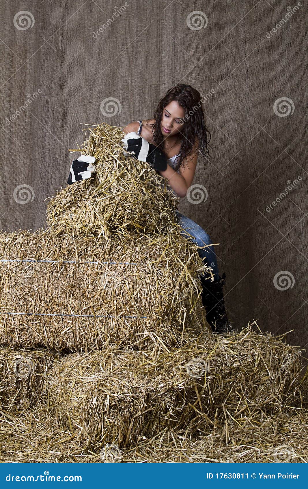 Needle in a hay stack stock image. Image of needle, barn - 17630811