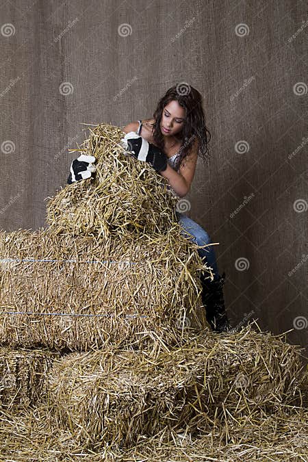 Needle in a hay stack stock image. Image of needle, barn - 17630811