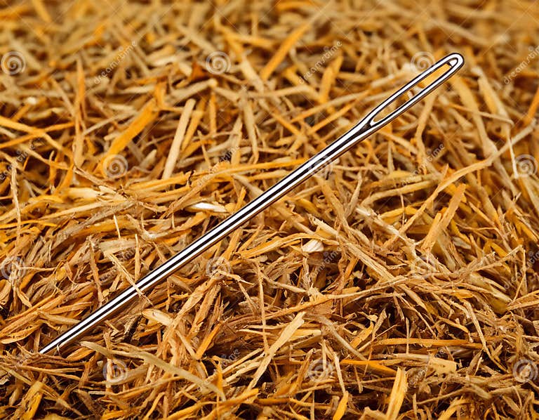 Needle in a hay stack stock illustration. Illustration of hope - 350754342
