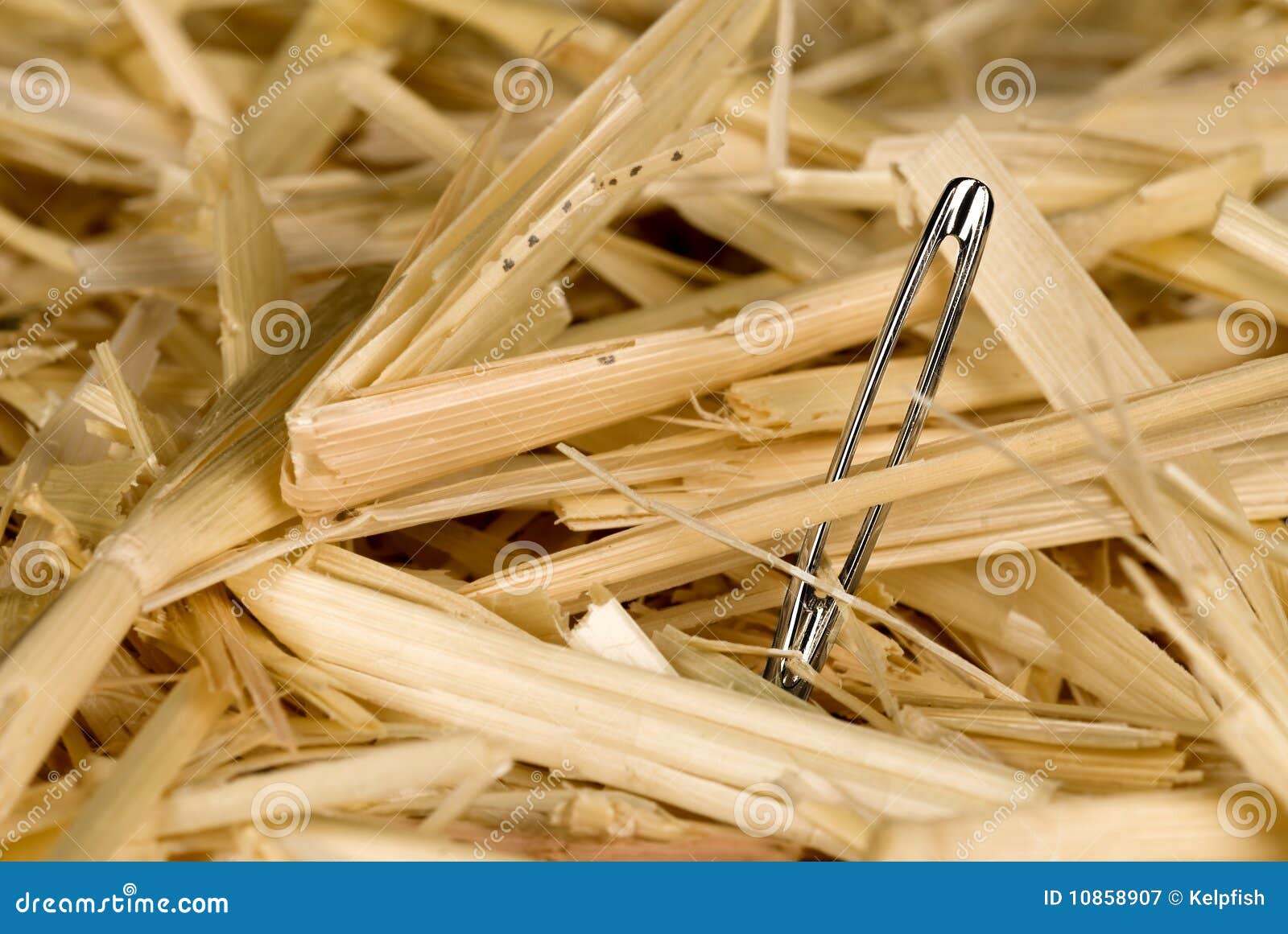 Needle in haystack stock image. Image of find, found - 10858907
