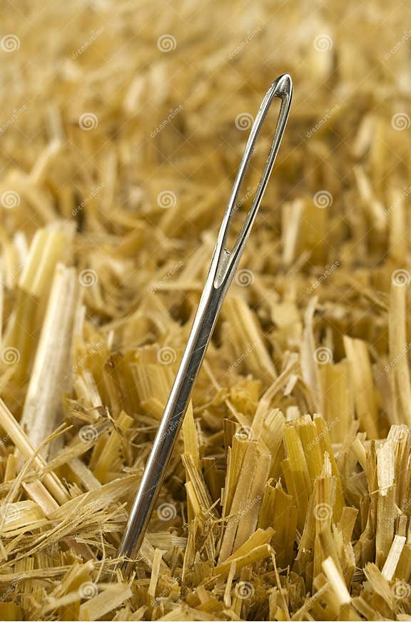 Needle in a Haystack stock image. Image of obscured, golden - 1606553