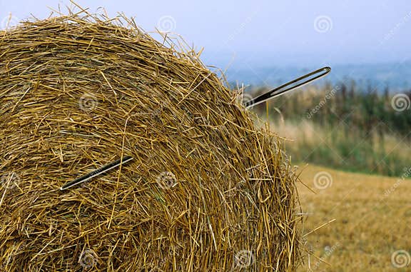 Needle in a haystack stock image. Image of reap, challenge - 1819331