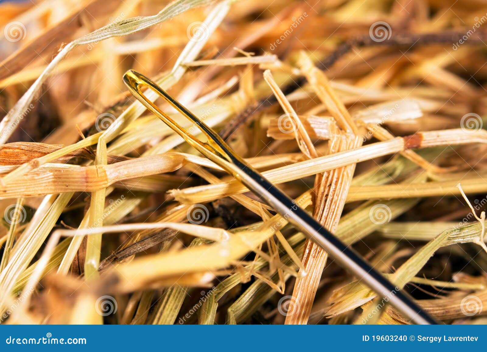 Needle in a haystack stock photo. Image of object, search - 19603240 Needle in a haystack stock photo. Image of object, search - 19603240