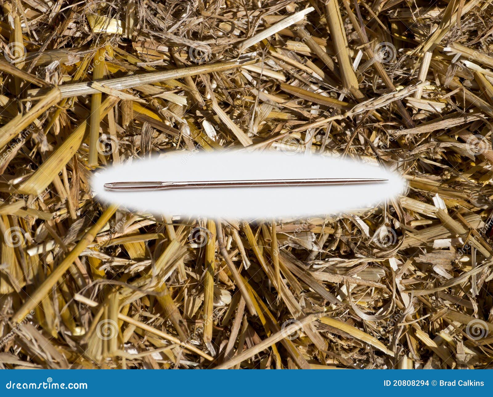 Needle in a haystack stock photo. Image of haystack, stack - 20808294 Needle in a haystack stock photo. Image of haystack, stack - 20808294