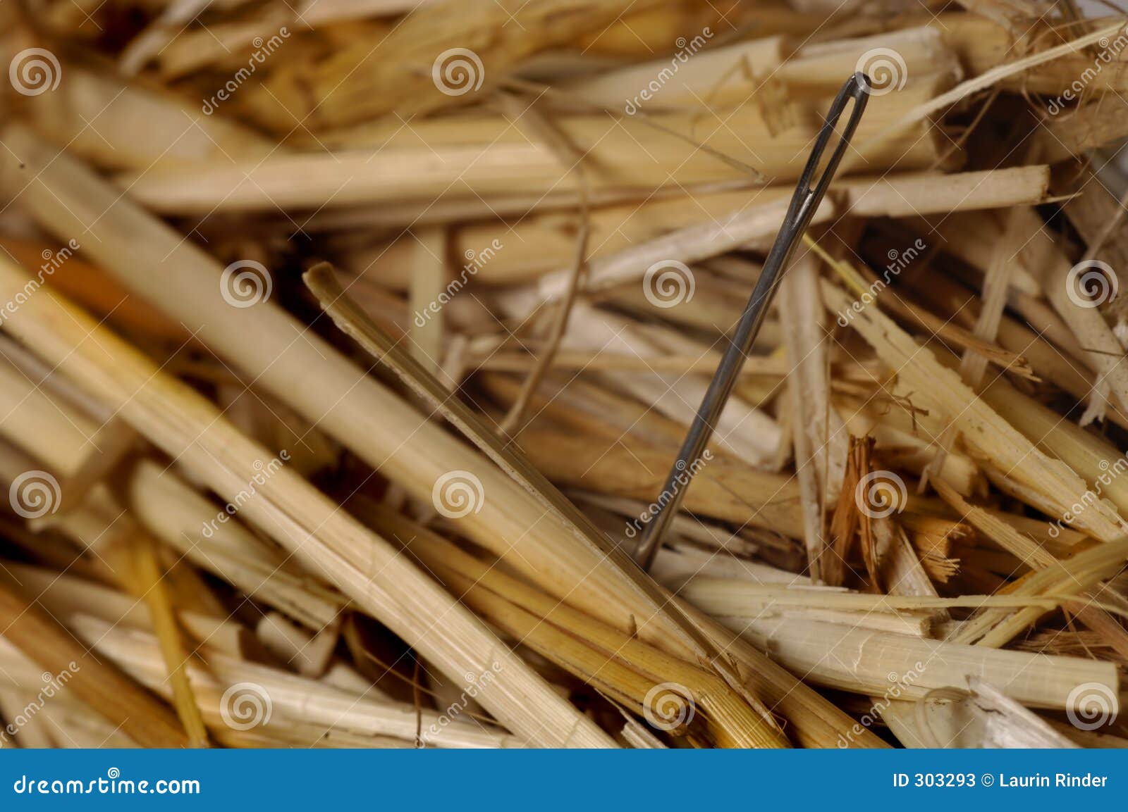 Needle in a haystack stock image. Image of lost, impossible - 303293 Needle in a haystack stock image. Image of lost, impossible - 303293