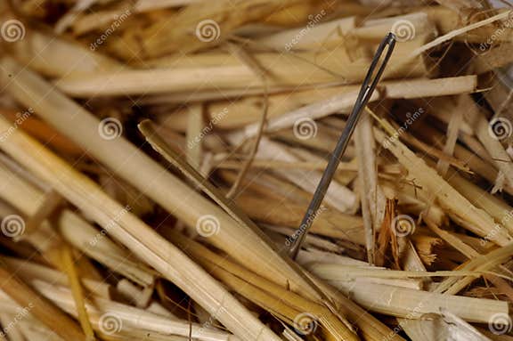 Needle in a haystack stock image. Image of lost, impossible - 303293