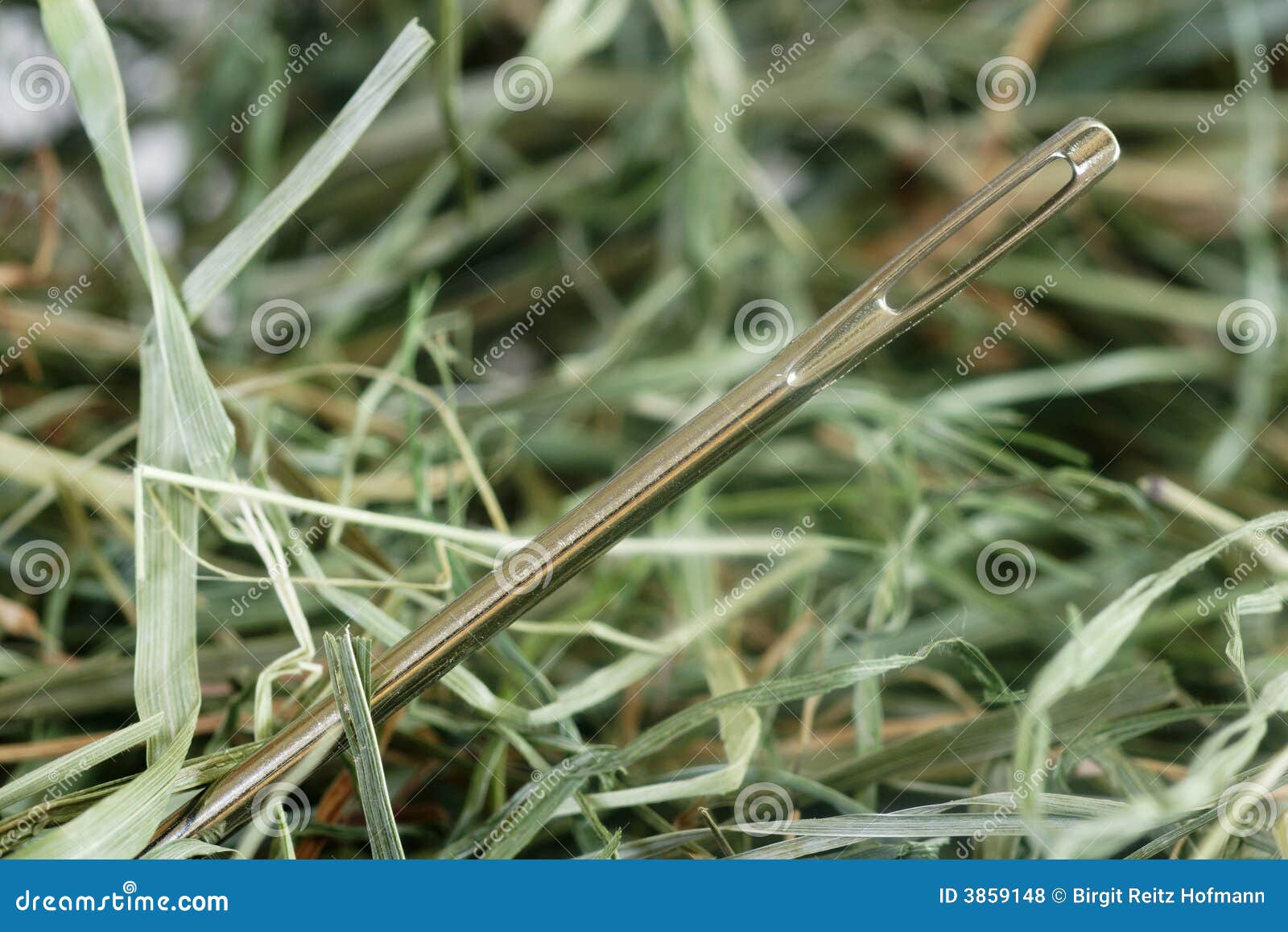Needle in a haystack stock photo. Image of discovery, haystack - 3859148