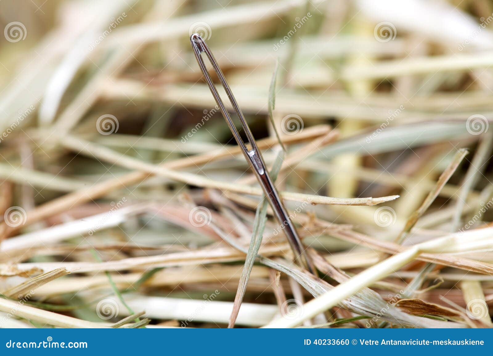 Needle in a haystack stock photo. Image of knowledge - 40233660