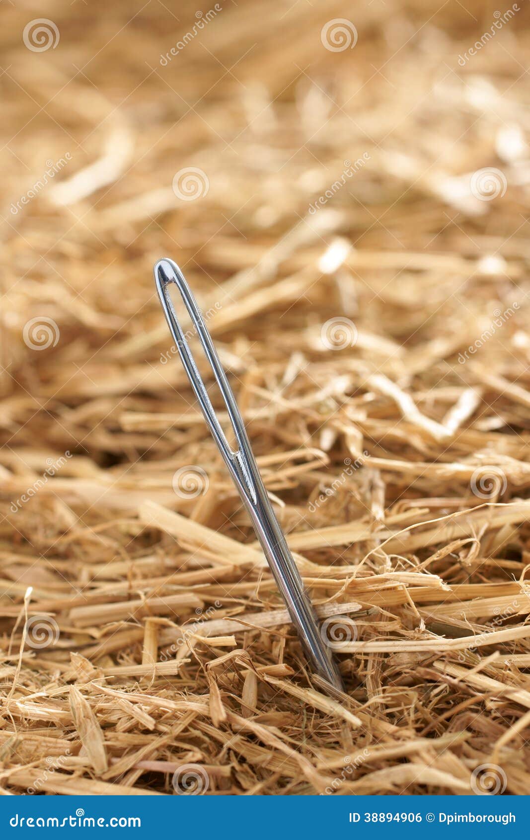 Needle in a Haystack stock photo. Image of lost, discovery - 38894906