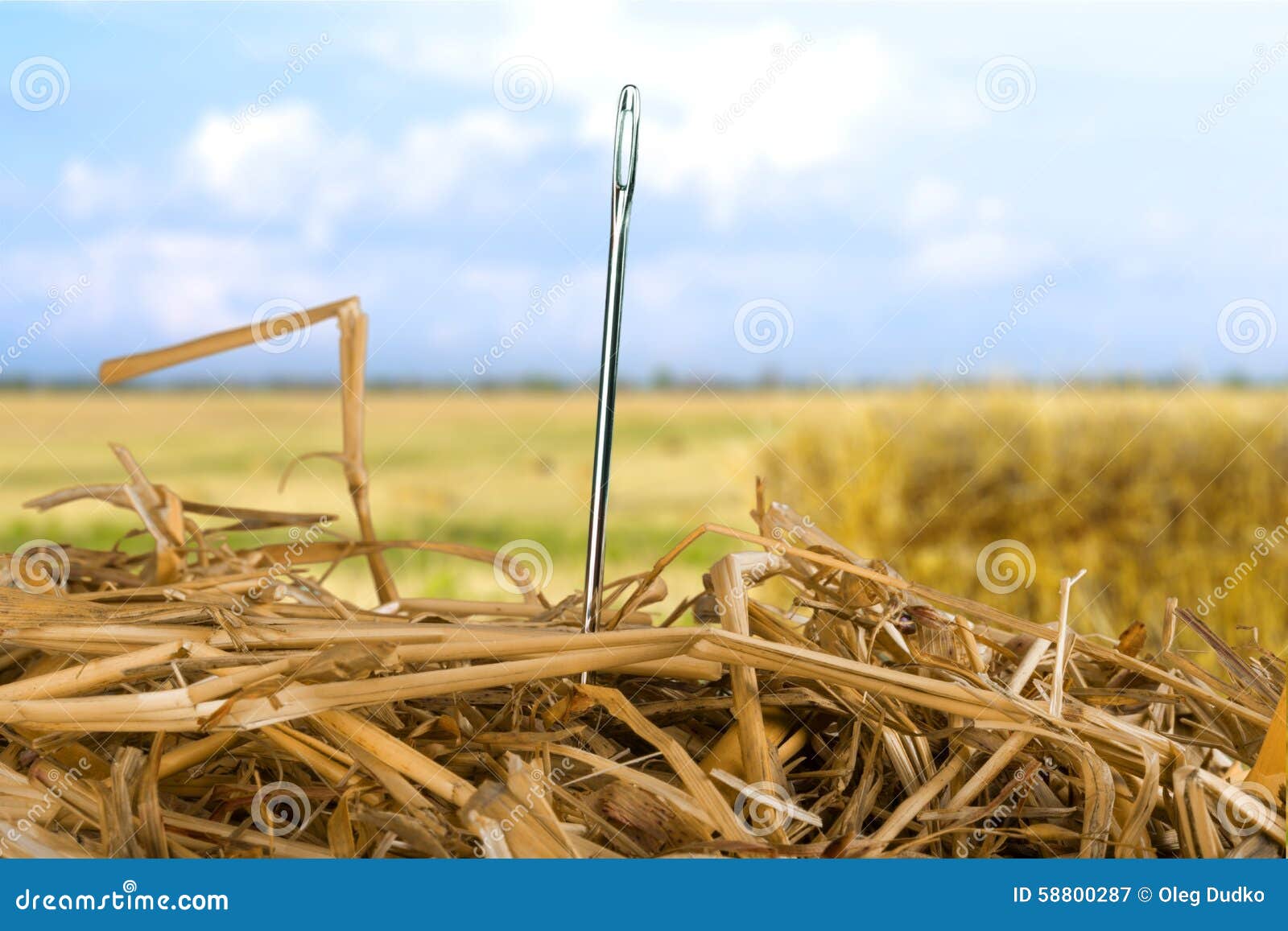 Needle in a Haystack stock image. Image of effort, lost - 58800287