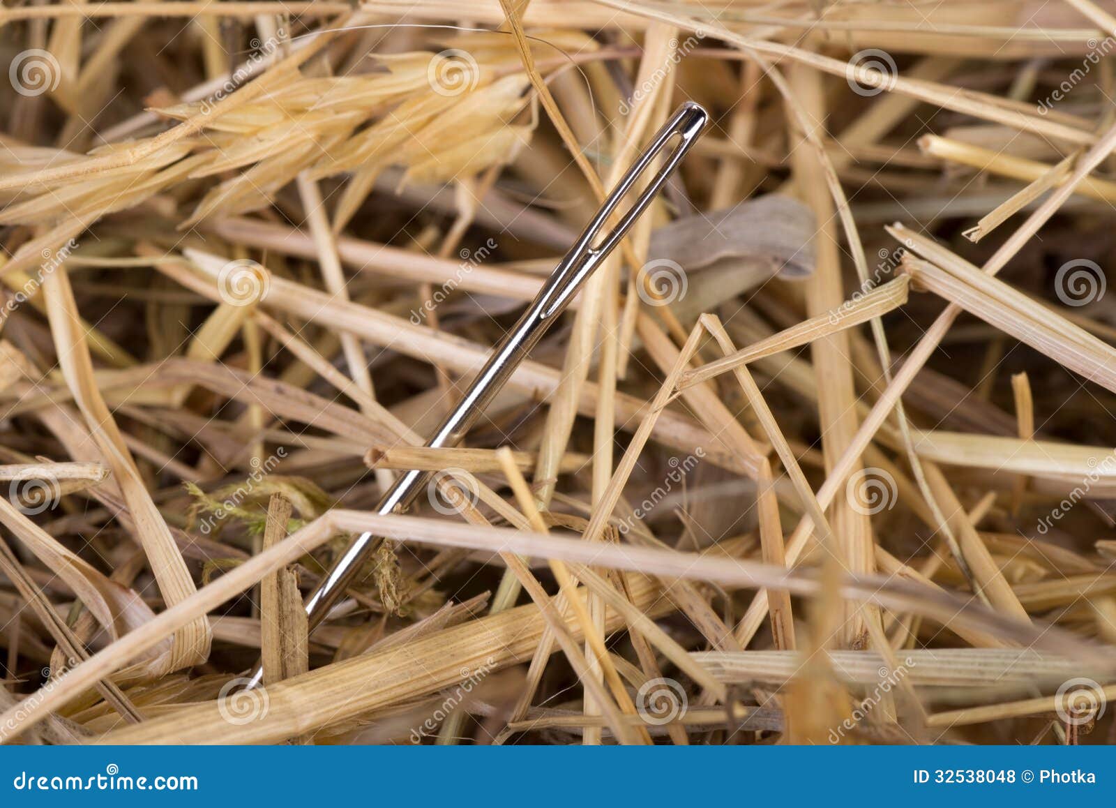 Needle In Haystack Royalty-Free Stock Photography | CartoonDealer.com ... Needle In Haystack Royalty-Free Stock Photography | CartoonDealer.com ...
