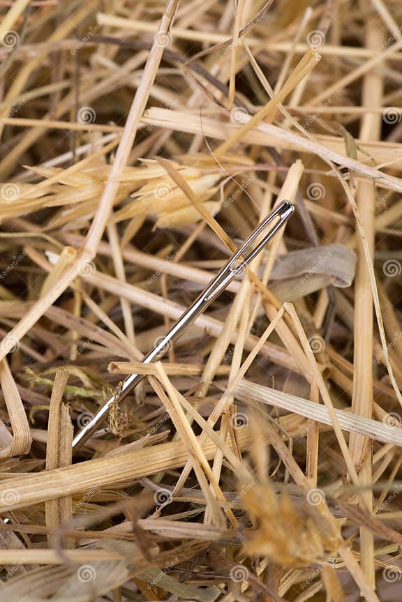 Needle in a haystack stock image. Image of needle, conceptual - 32538073