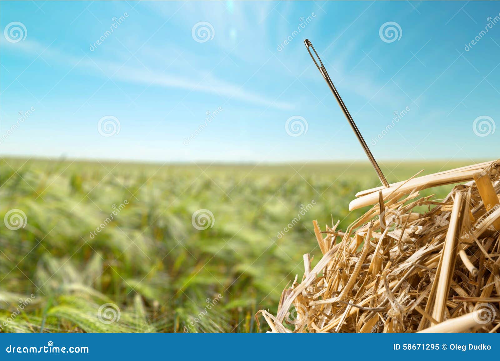 Needle in a Haystack stock image. Image of needle, sewing - 58671295