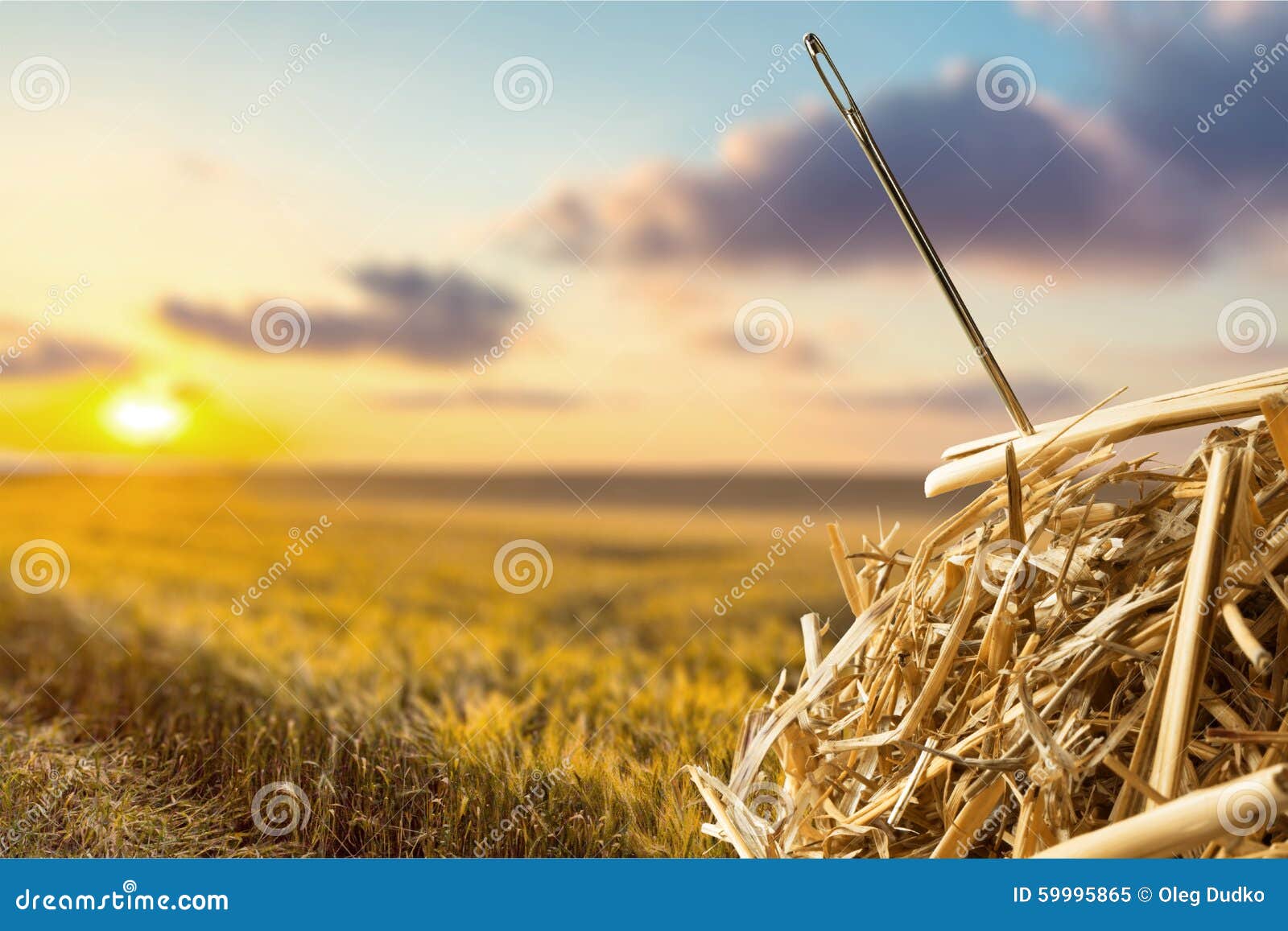 Needle In Haystack Royalty-Free Stock Photography | CartoonDealer.com ...