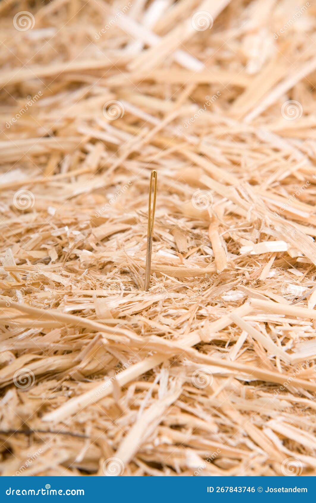 Needle in a Haystack Symbol of Something Hard To Find Stock Photo ...