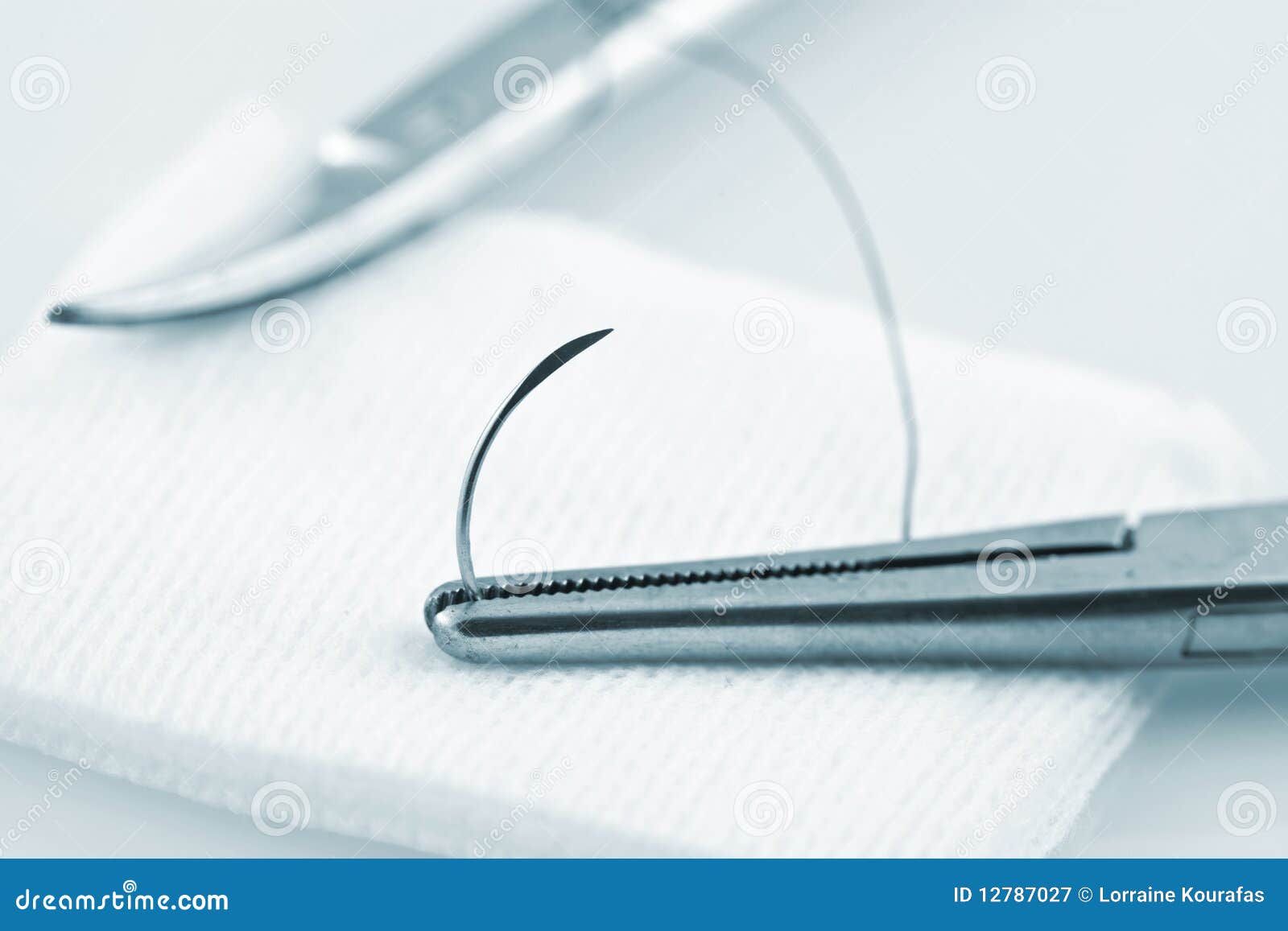 Needle Holder Holding Cat Gut Suture Stock Image - Image of holder ...