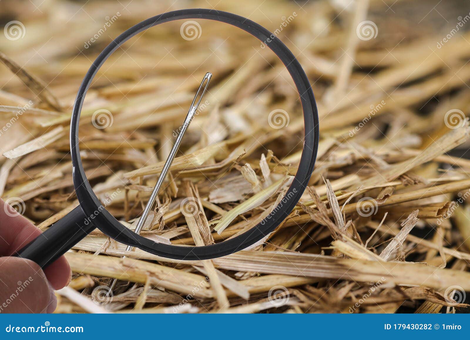 Needle in Haystack with Loupe Stock Photo - Image of needle, metaphor ...