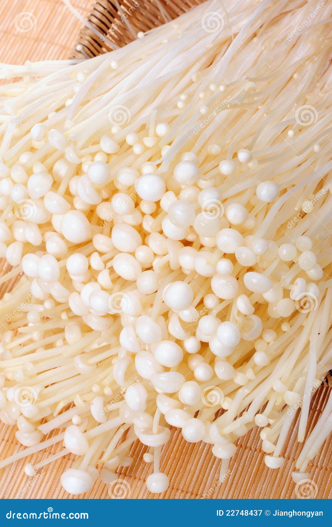 Needle mushroom stock image. Image of close, uncook, fungal - 22748437