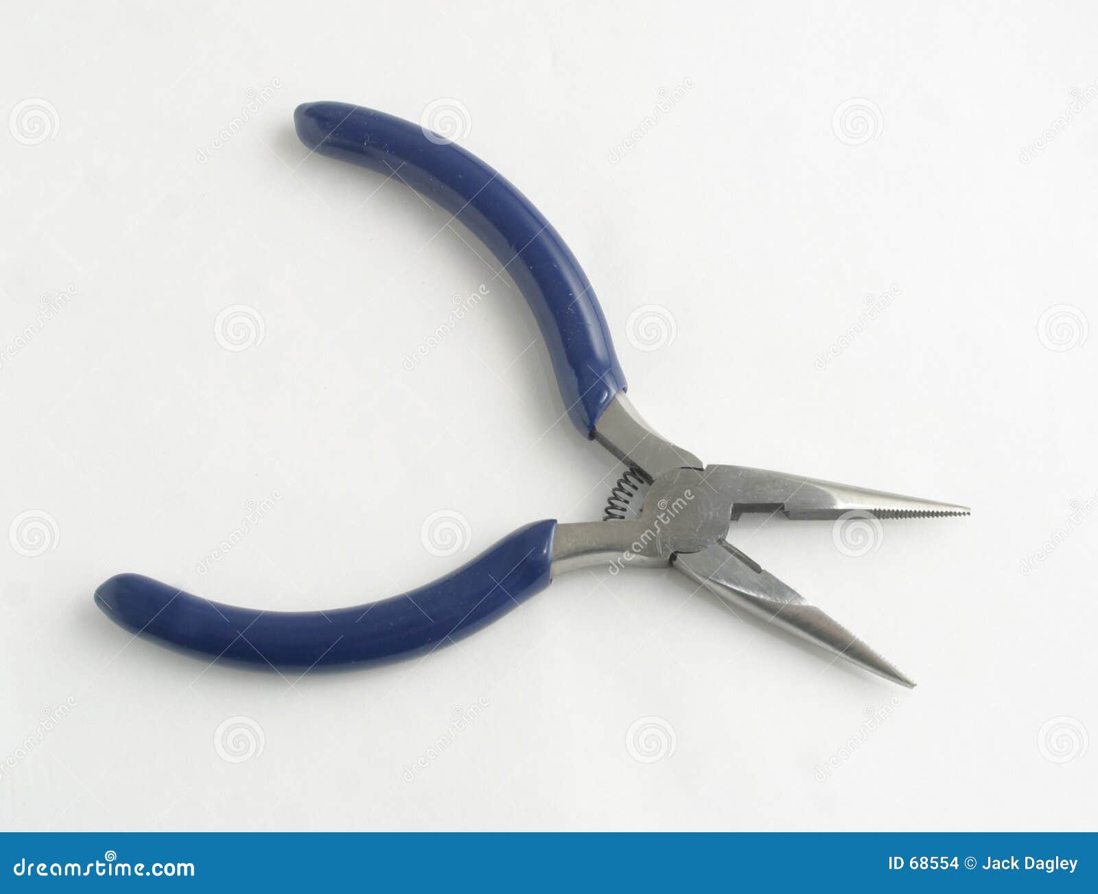 Sharp-nosed Pit Viper, Chinese Moccasin, Deinagkistrodon Acutus ...