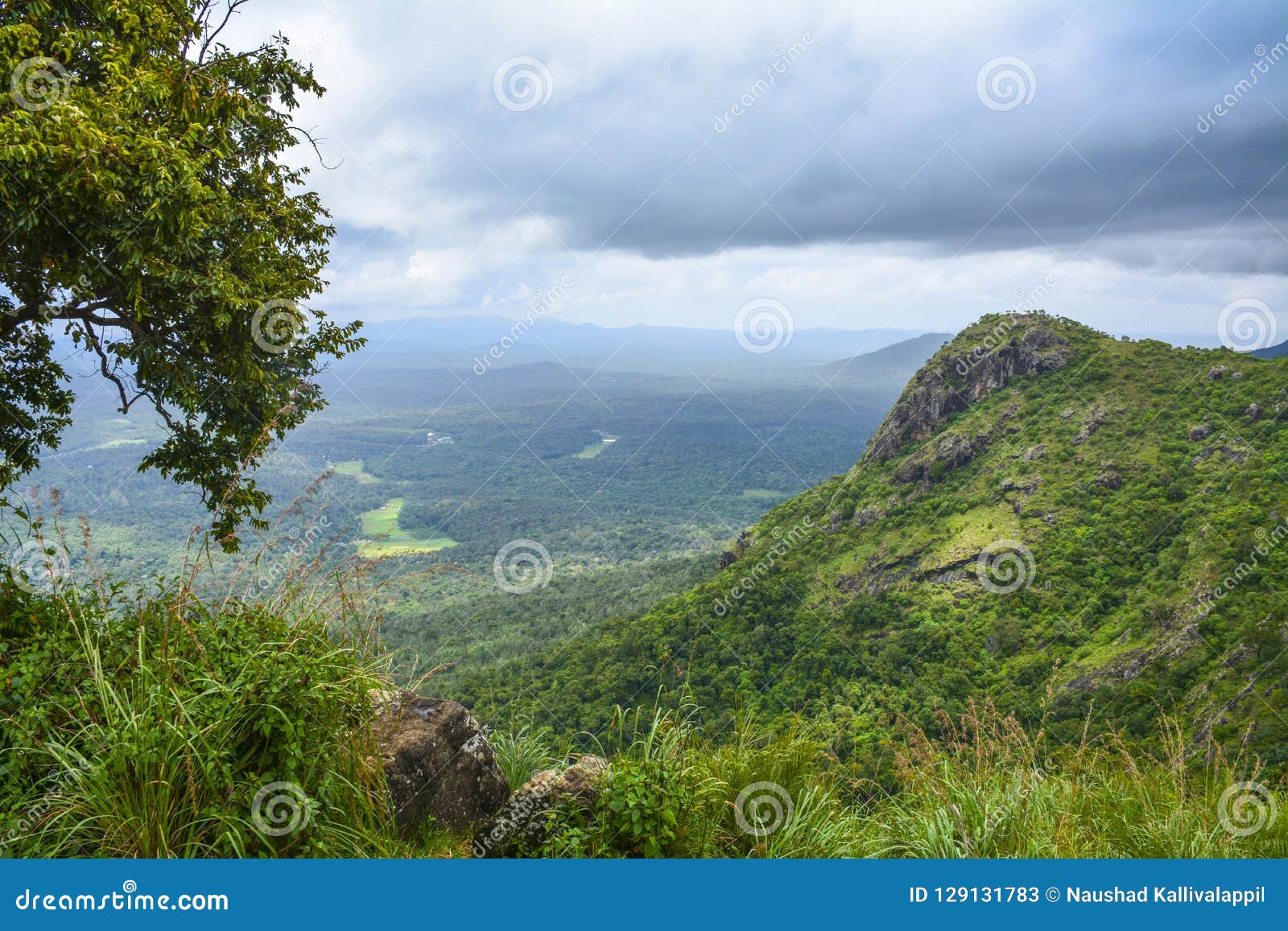 Needle rock viewpoint stock image. Image of nature, green - 129131783