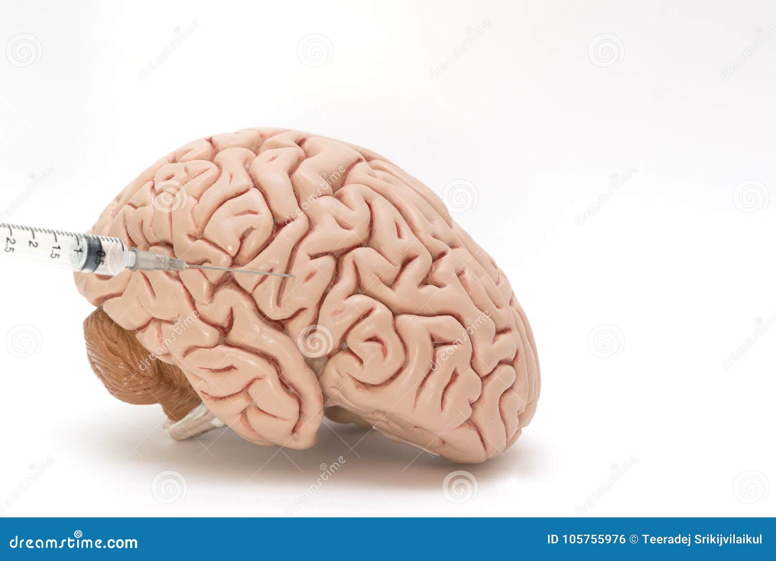 Needle, Syringe and Human Brain Model on White Background Stock Photo ...