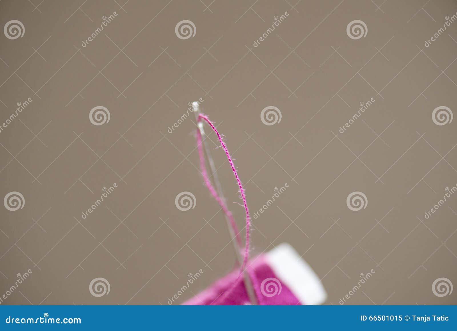 A needle and a thread. stock image. Image of bobbin, fabric - 66501015