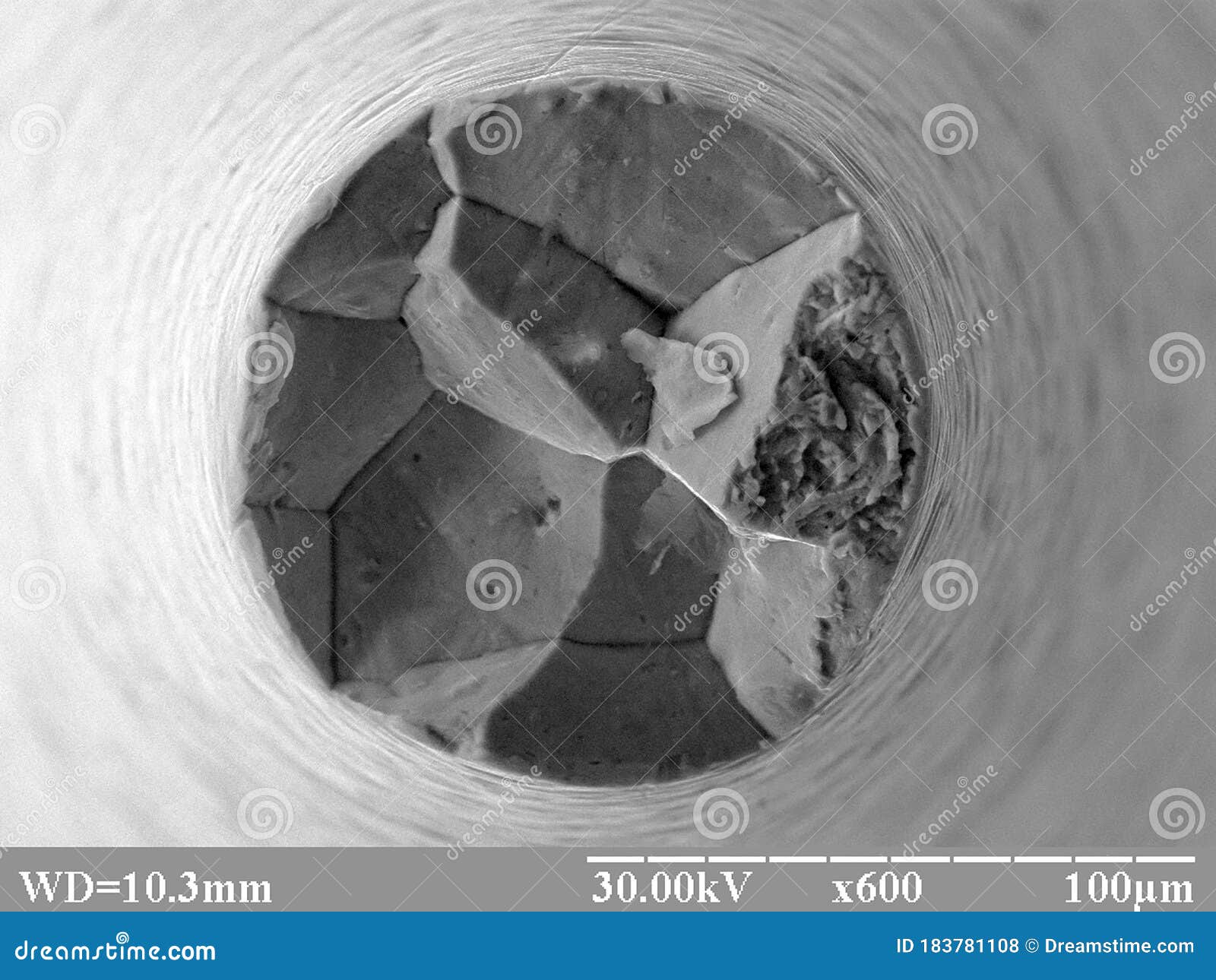 Surface Structure Of Liquid Colors. Organic Shapes Floating. Smears ...
