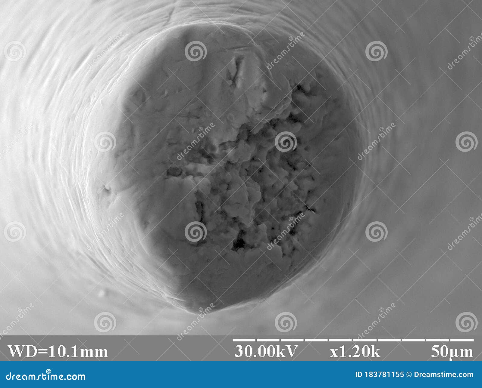 Surface Structure Of Liquid Colors. Organic Shapes Floating. Smears ...