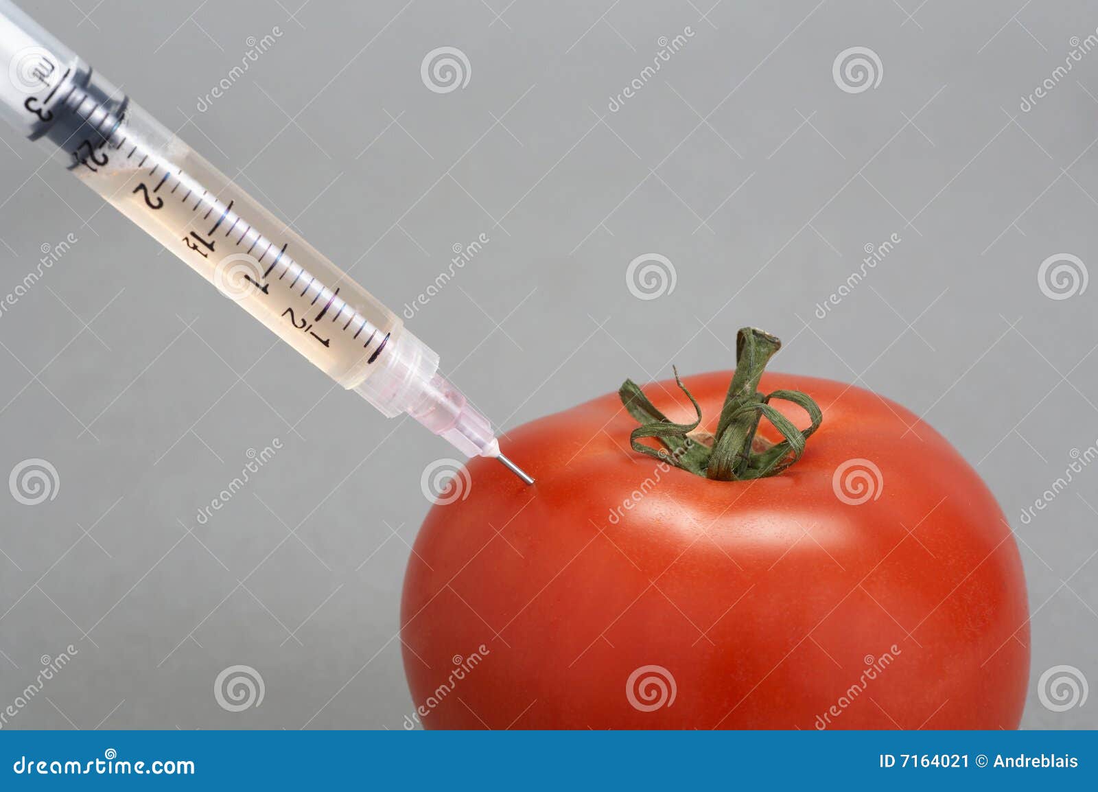 Needle in Tomato stock image. Image of gray, close, modified - 7164021