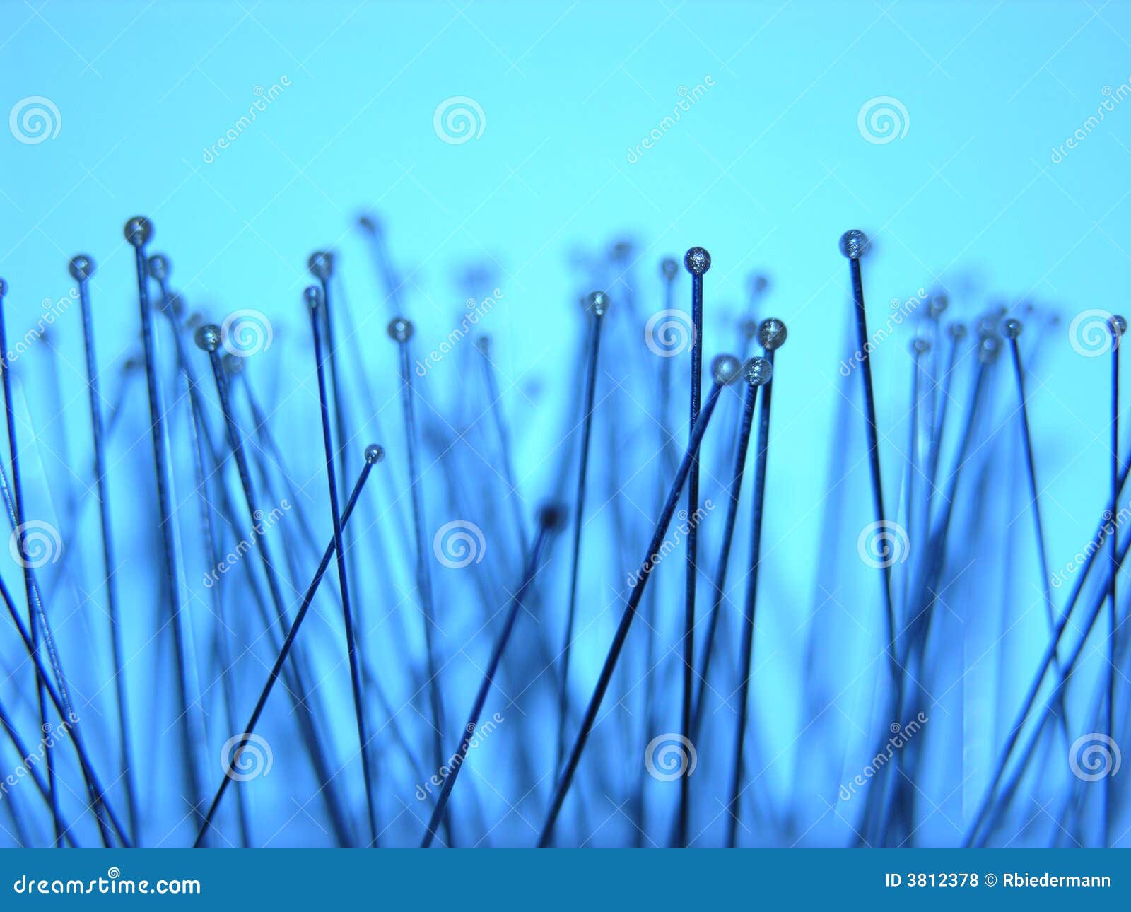 Needles stock photo. Image of head, needle, sewing, research - 3812378