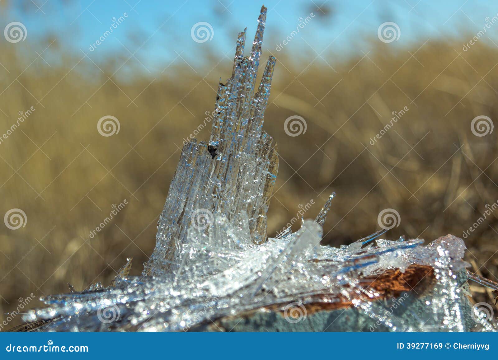 Needles of ice stock image. Image of background, nature - 39277169