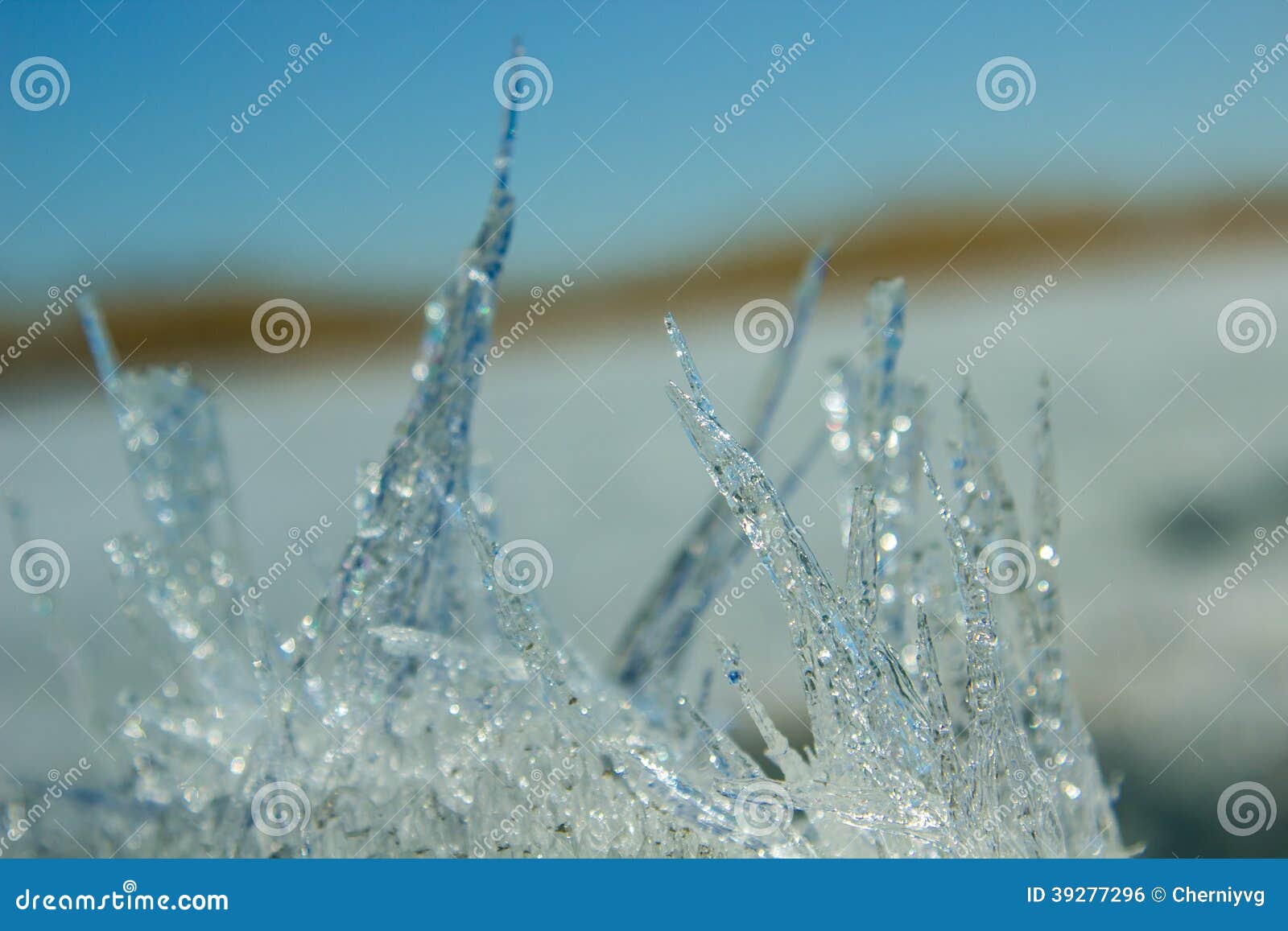 Needles of ice stock photo. Image of grass, abstract - 39277296