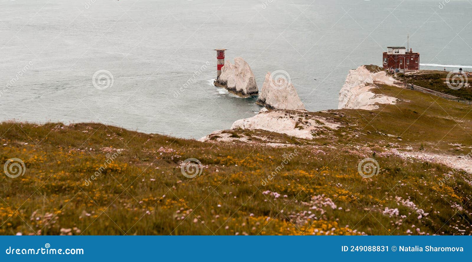 The Needles Isle of Wight. White Chalk Cliffs Stock Image - Image of ...