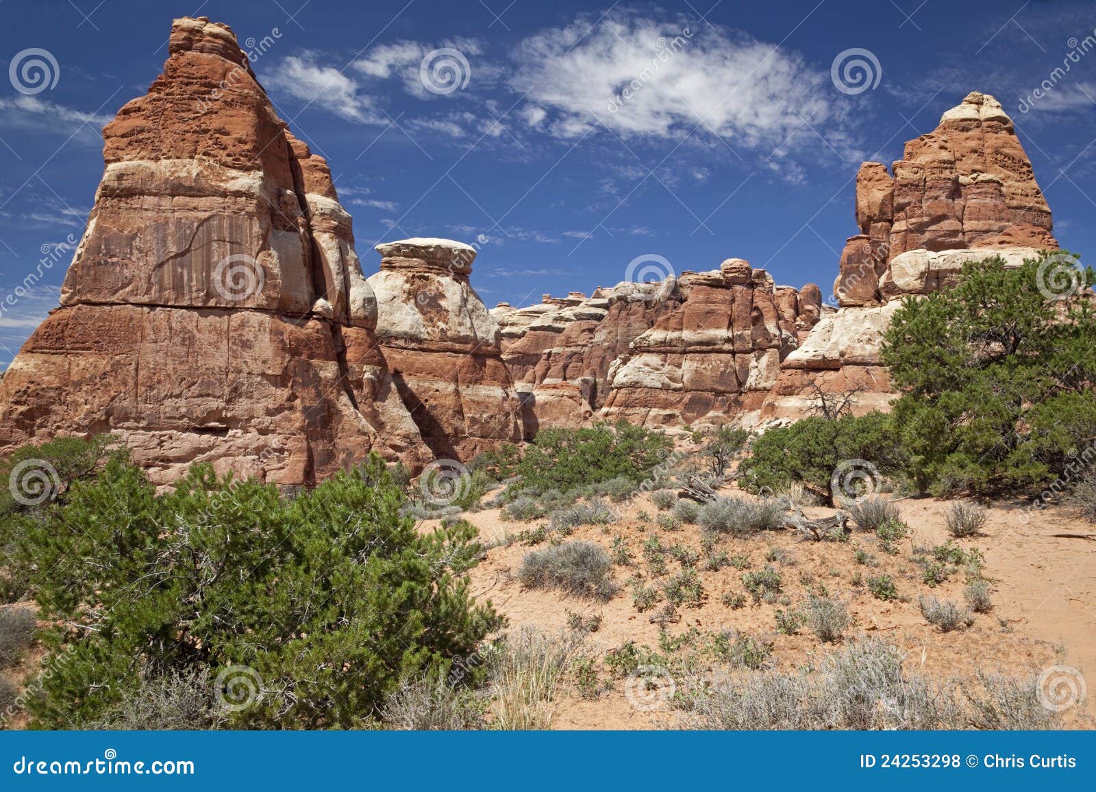 Needles Region of Canyonlands National Park Stock Photo - Image of ...